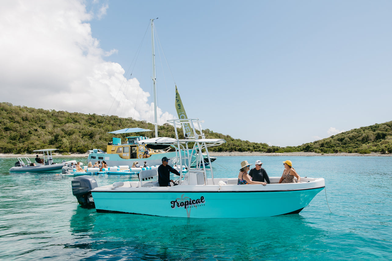 Pizza Pi VI – Pizza Pi Vi