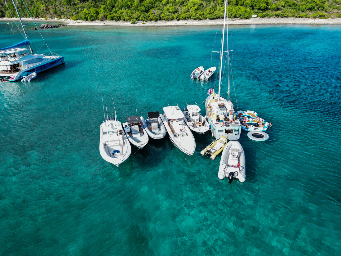 Pizza Pi VI – Pizza Pi Vi