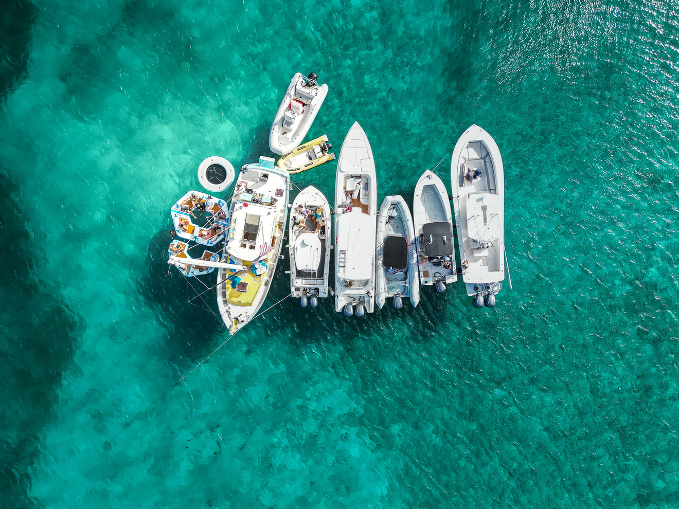 Pizza Pi VI – Pizza Pi Vi