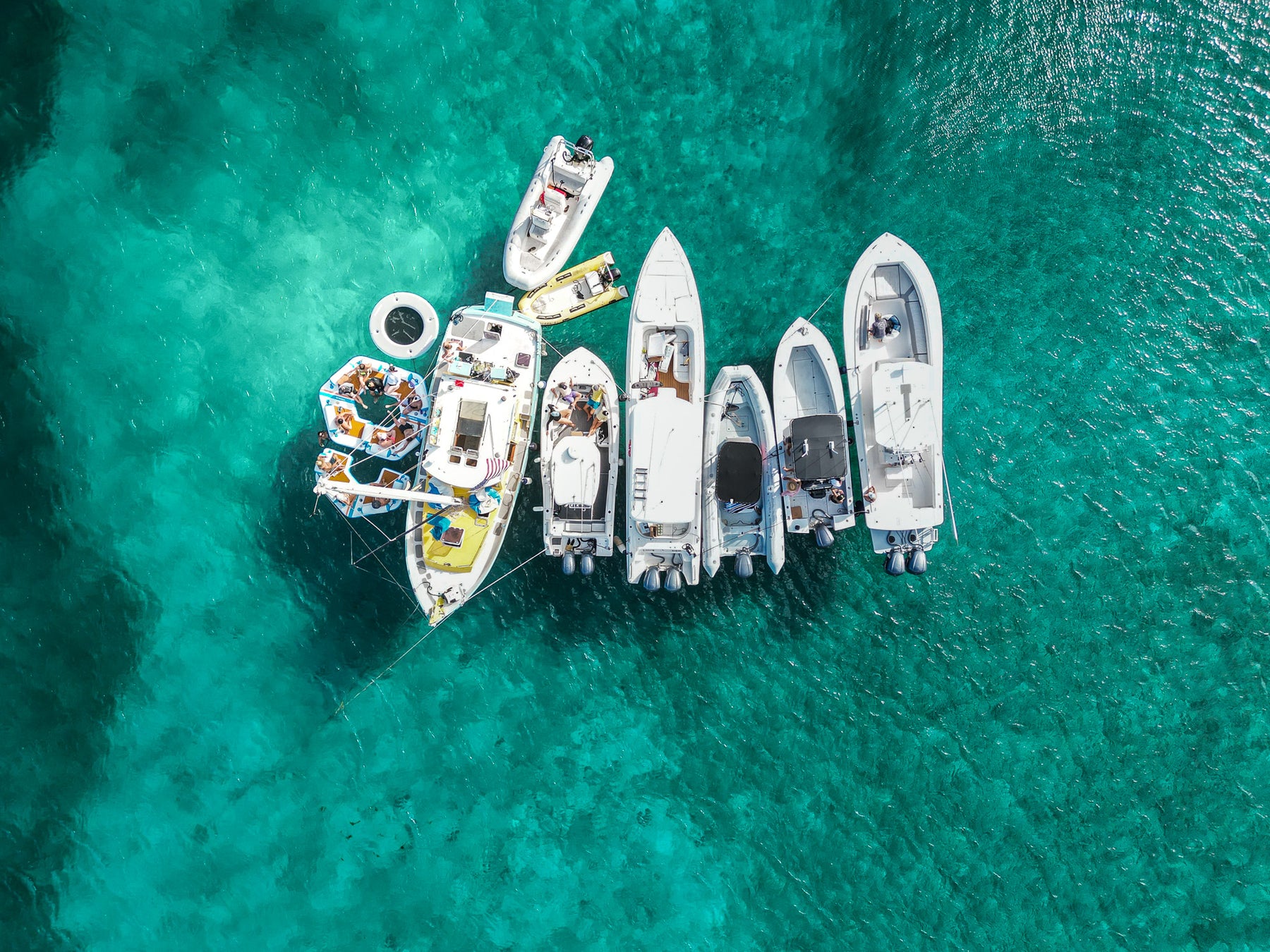 Pizza Pi VI – Pizza Pi Vi